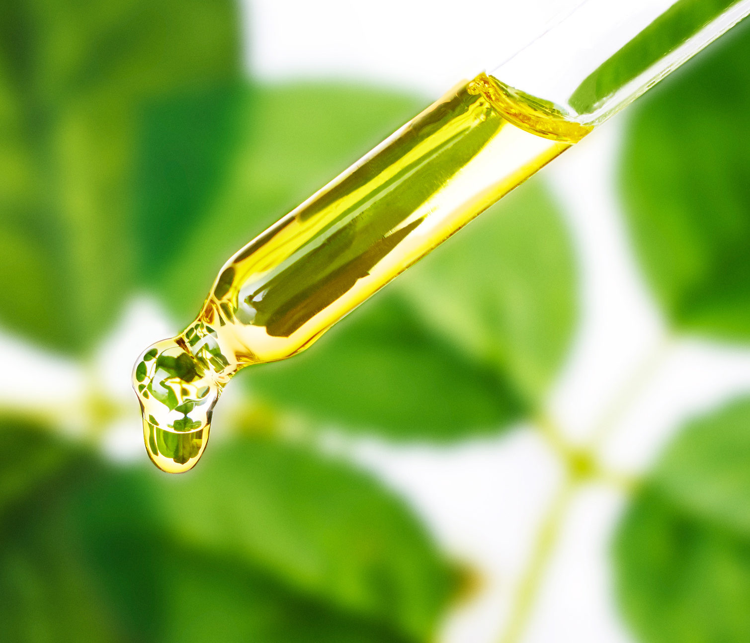 OLVEA Vegetable Oils - From sources you can trust